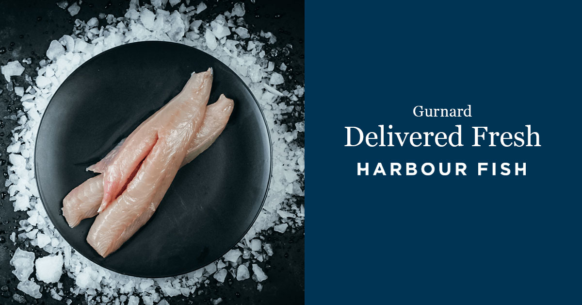 Buy Fresh Gurnard Fillets Online | Harbour Fish