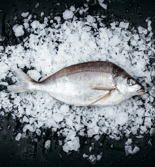 Fresh Seafood & Fish Straight to Your Door | Harbour Fish