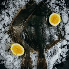 Blue Cod Fillets Fresh | Fresh Seafood | Harbour Fish