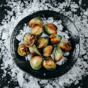 Live Shellfish Online - Delivery Available | Harbour Fish