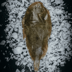 Tarakihi Fillets Frozen | Harbour Fish