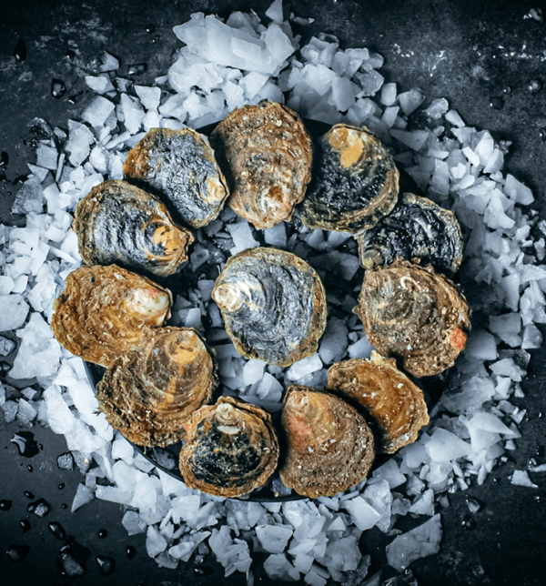 Fresh Seafood & Fish Straight to Your Door | Harbour Fish