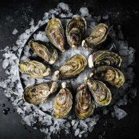 Live Shellfish Online - Delivery Available | Harbour Fish